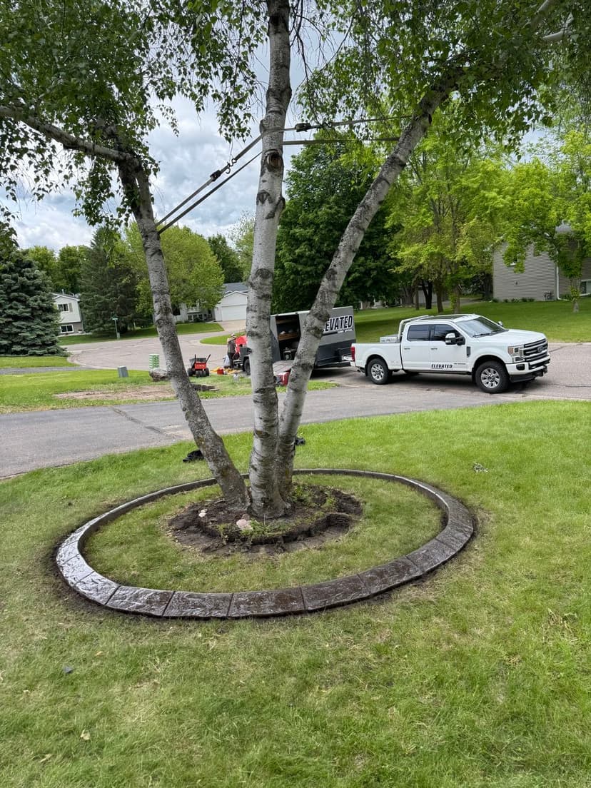 Landscaping & Curbing Experts | Elevated Curb Appeal